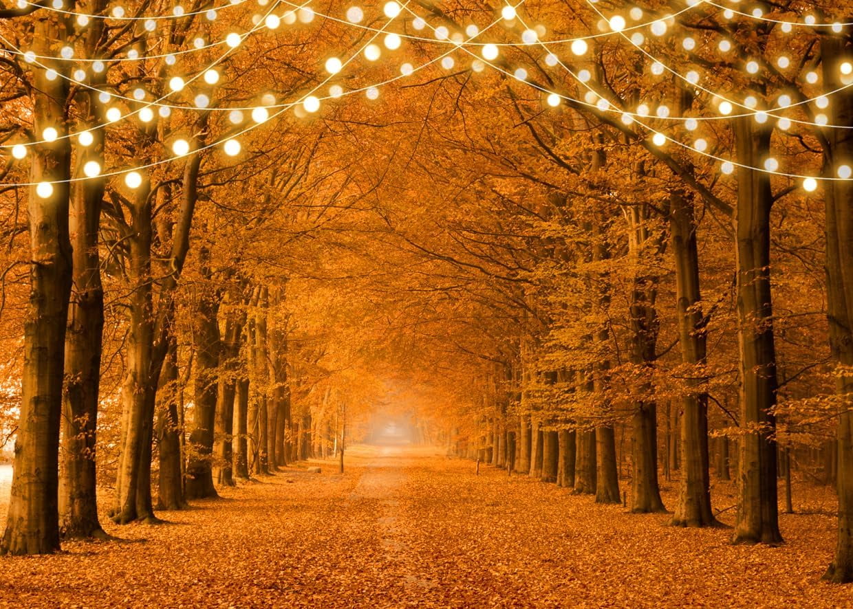 Fall Theme Beautiful Banner Backdrop Fallen Leaves Background Forest ...