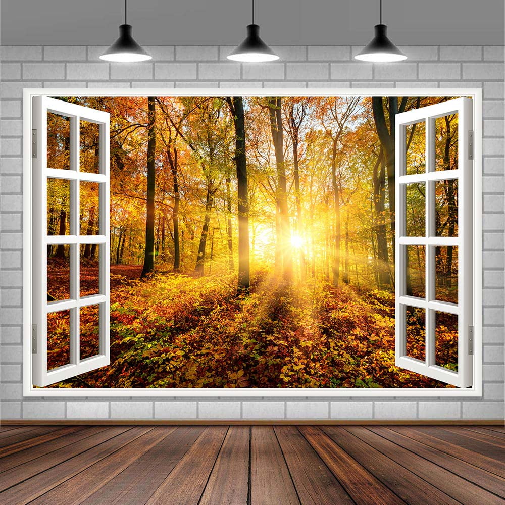 Fall Tree Window Backdrop for Photography, Autumn Forest Natural ...