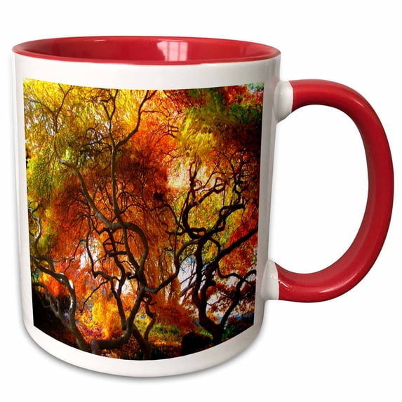 3drose, Fall Trees in Full Vivid Color, 15oz Two-tone Red Mug - Walmart.com