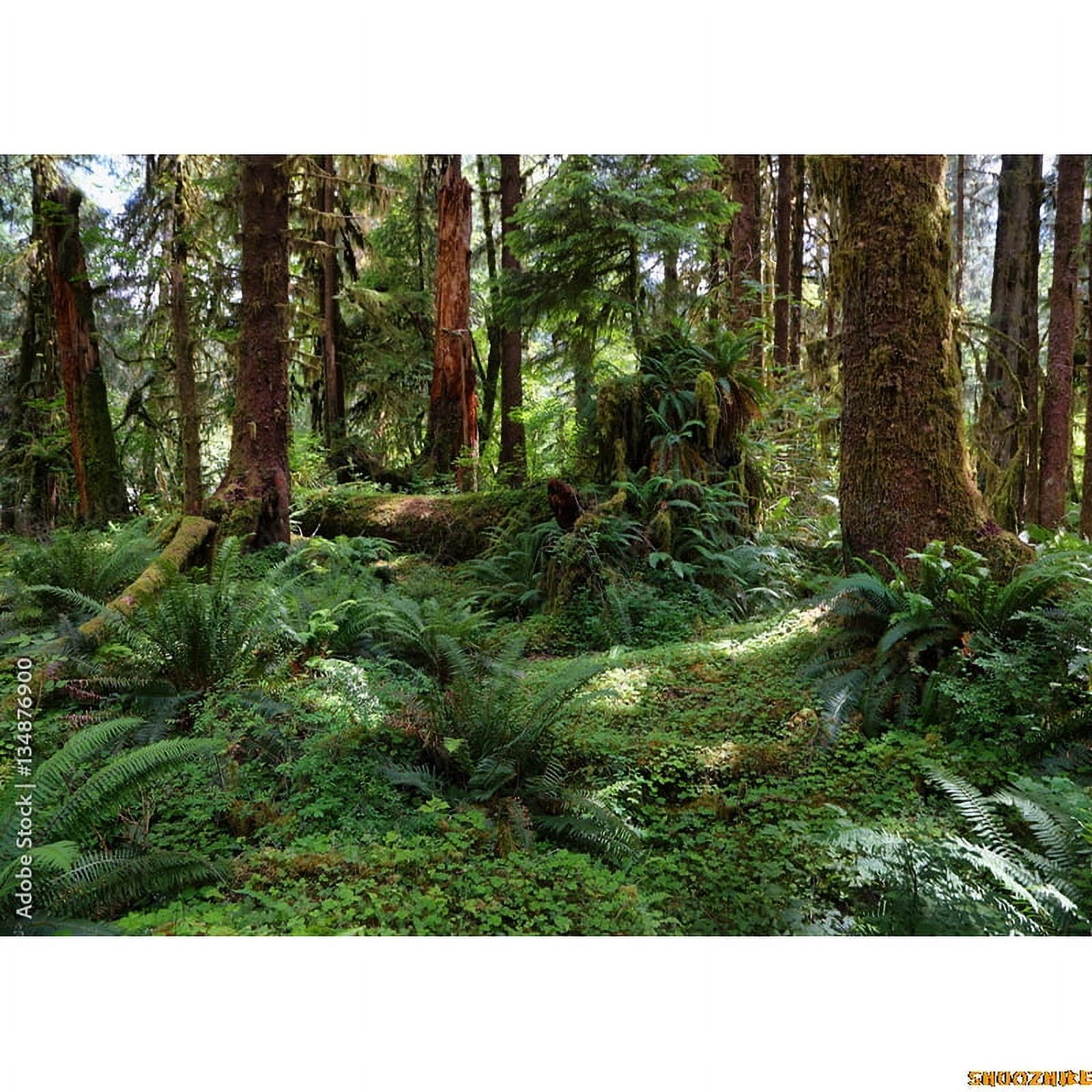 Fall Trees In Gre Virgin Coniferous Forest Photography Backdrops Props ...