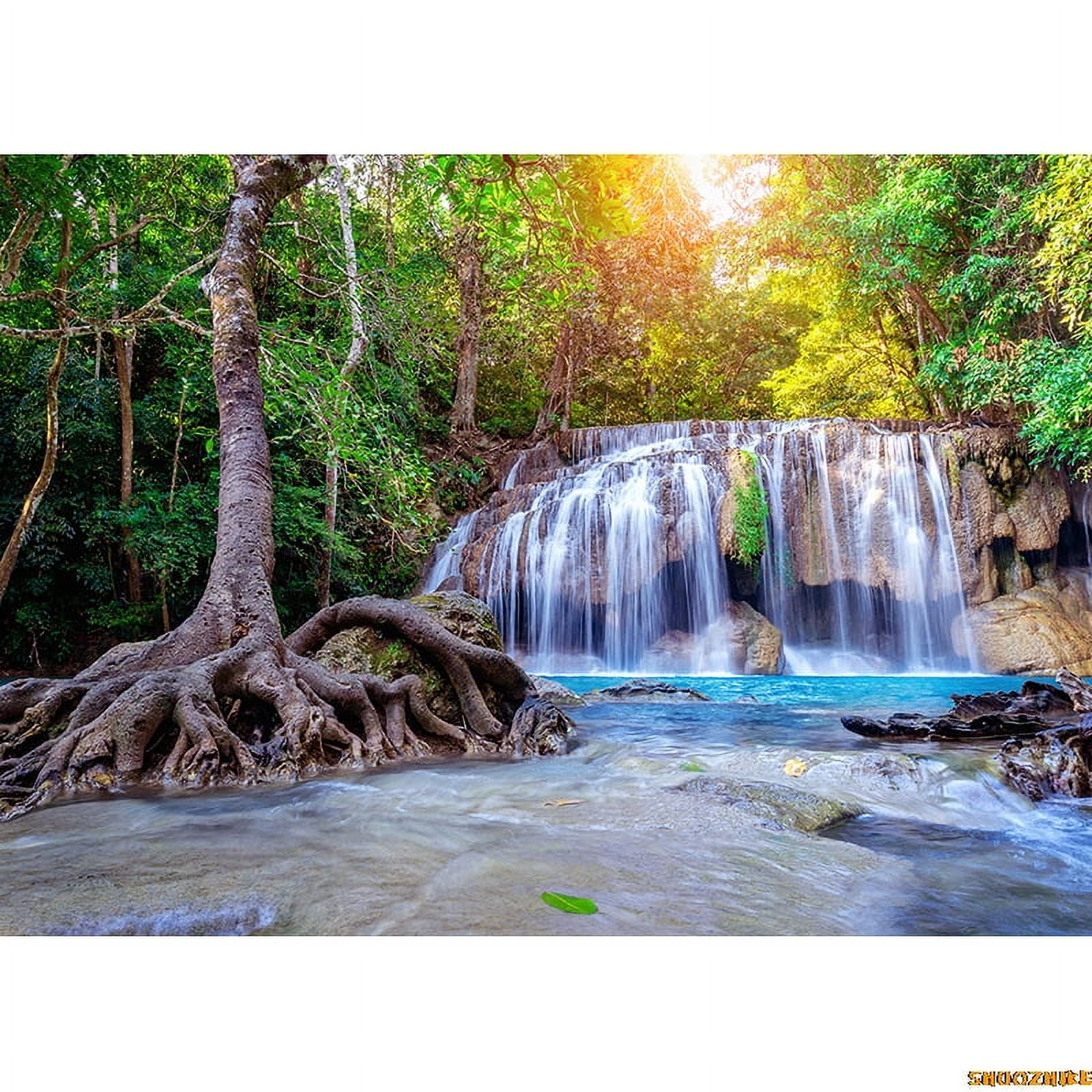 Fall Trees In Gre Virgin Coniferous Forest Photography Backdrops Props ...