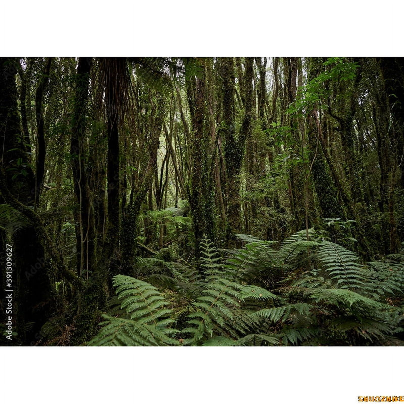 Fall Trees In Gre Virgin Coniferous Forest Photography Backdrops Props ...