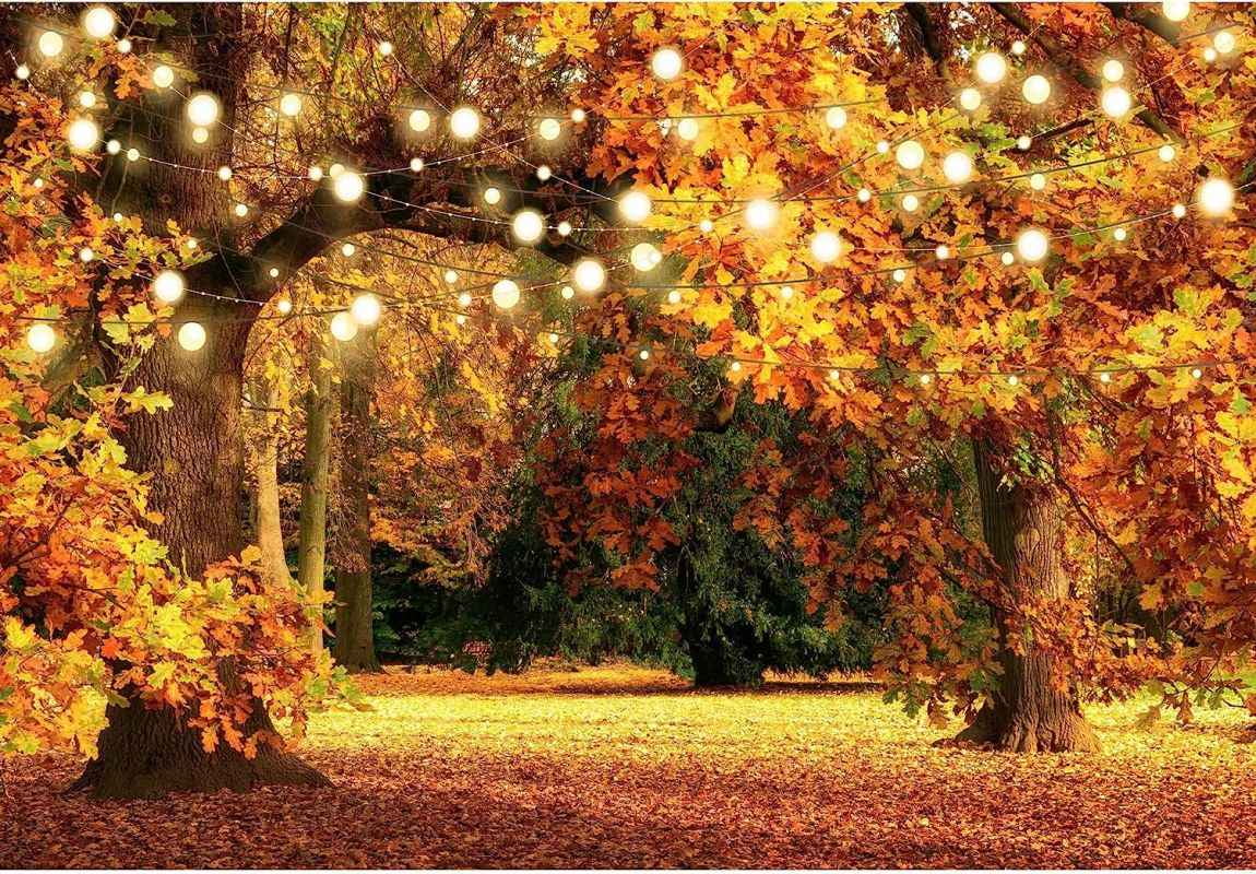 Fall Window Backdrop ration Nature Scenery Peace Bird Wooden Maple Leaf ...