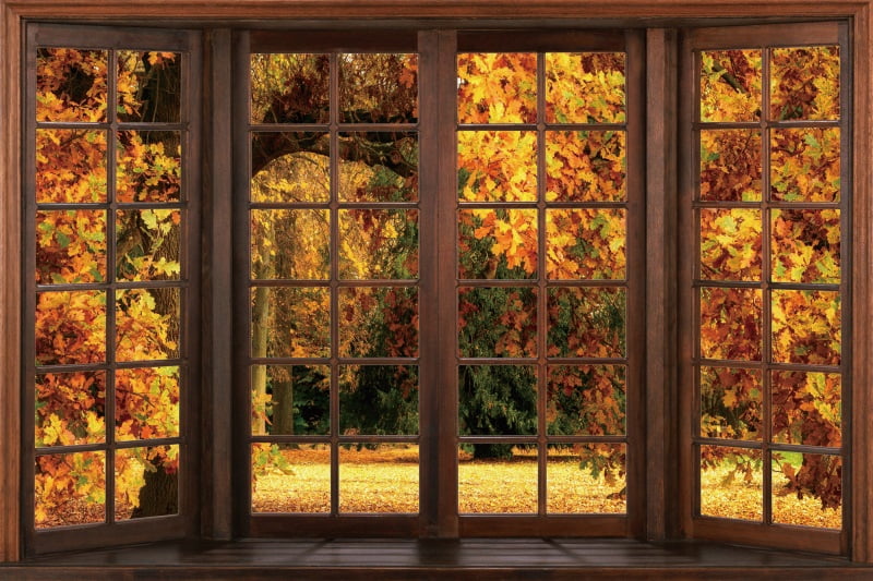 Fall Window Scenery Nature Forest Backdrop Golden Defoliation Harvest ...