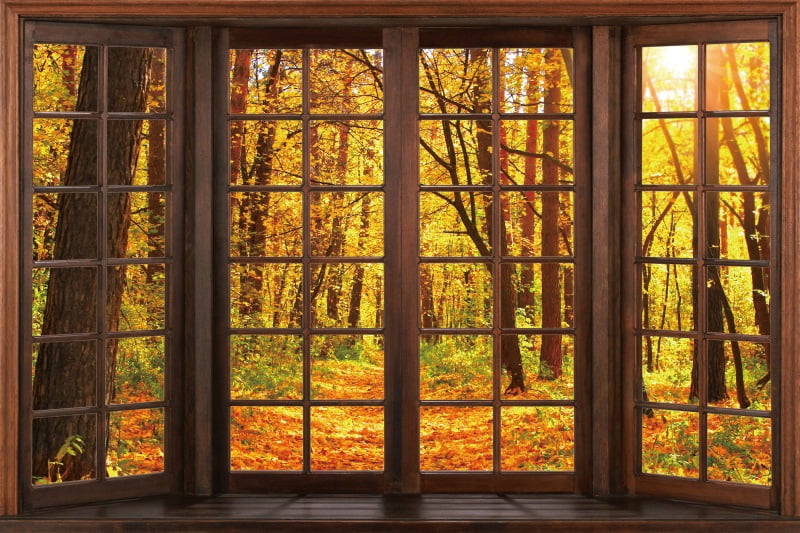Fall Window Scenery Nature Forest Backdrop Golden Defoliation Harvest ...