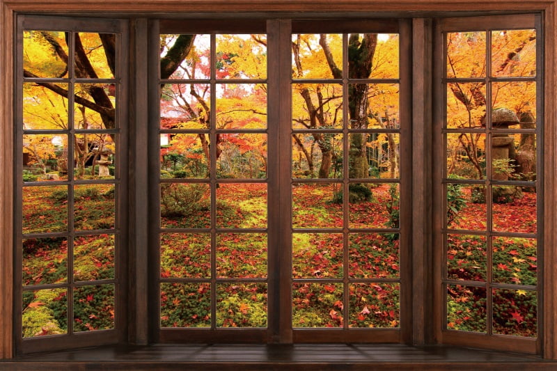 Fall Window Scenery Nature Forest Backdrop Golden Defoliation Harvest ...