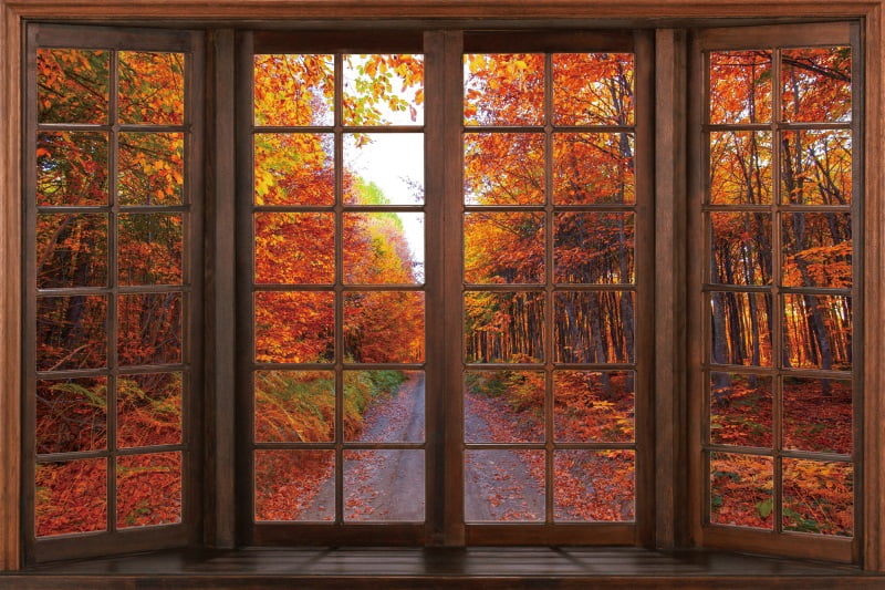 Fall Window Scenery Nature Forest Backdrop Golden Defoliation Harvest ...