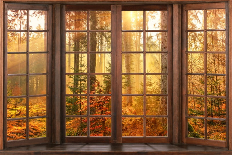 Fall Window Scenery Nature Forest Backdrop Golden Defoliation Harvest ...