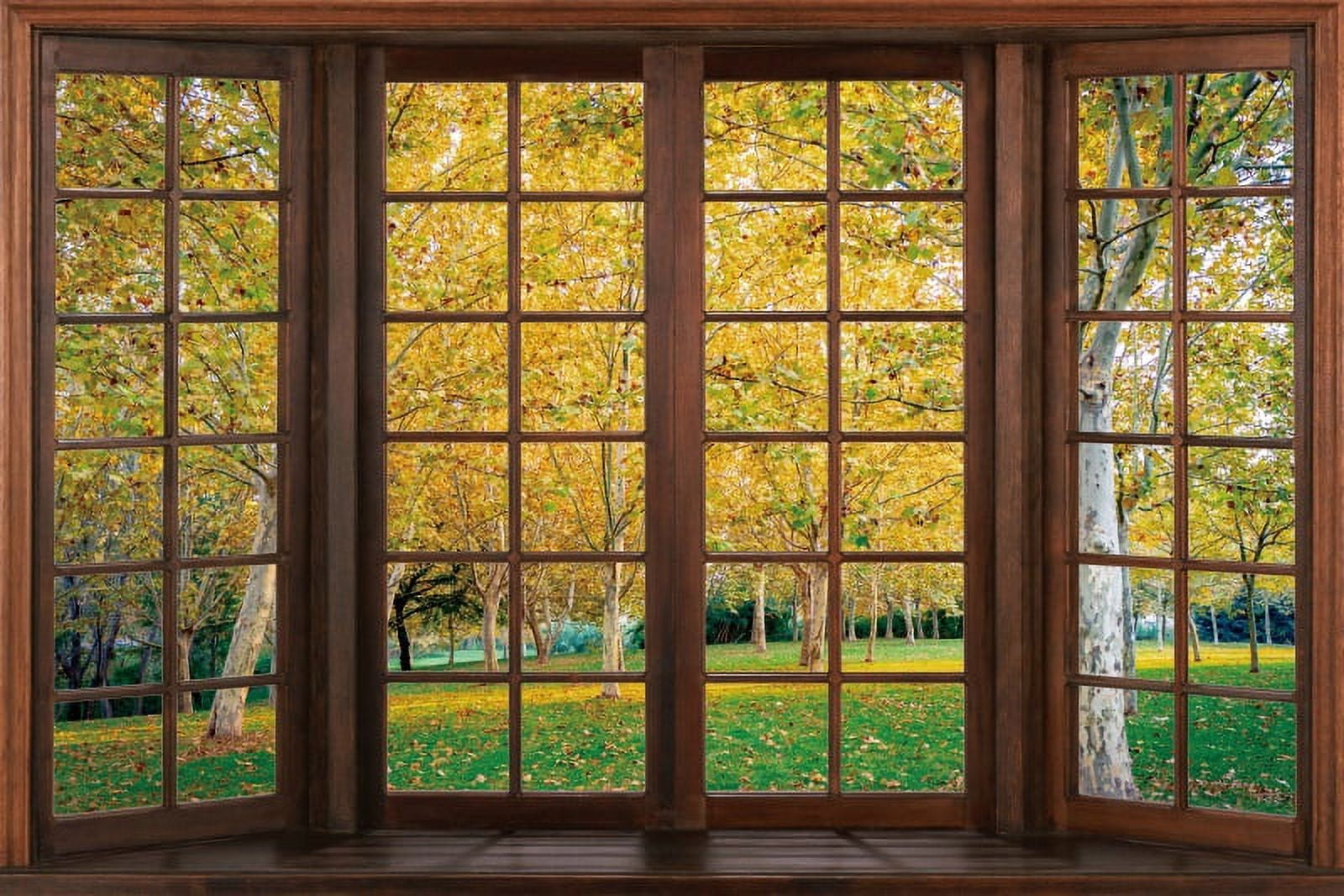 Fall Window Scenery Nature Forest Backdrop Golden Defoliation Harvest ...