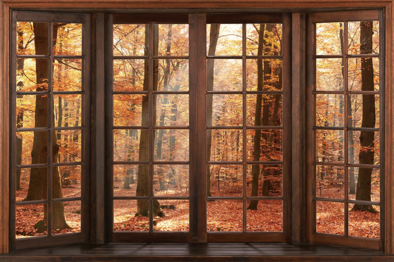 Fall Window Scenery Nature Forest Backdrop Golden Defoliation Harvest ...