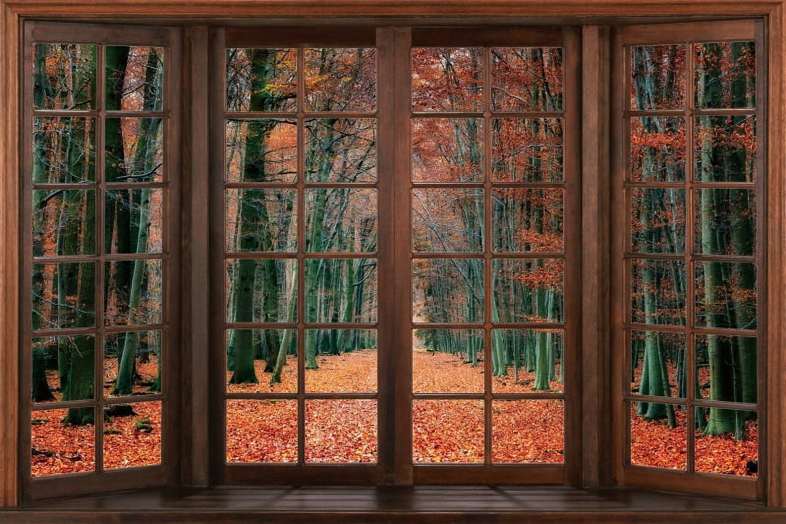Fall Window Scenery Nature Forest Backdrop Golden Defoliation Harvest ...