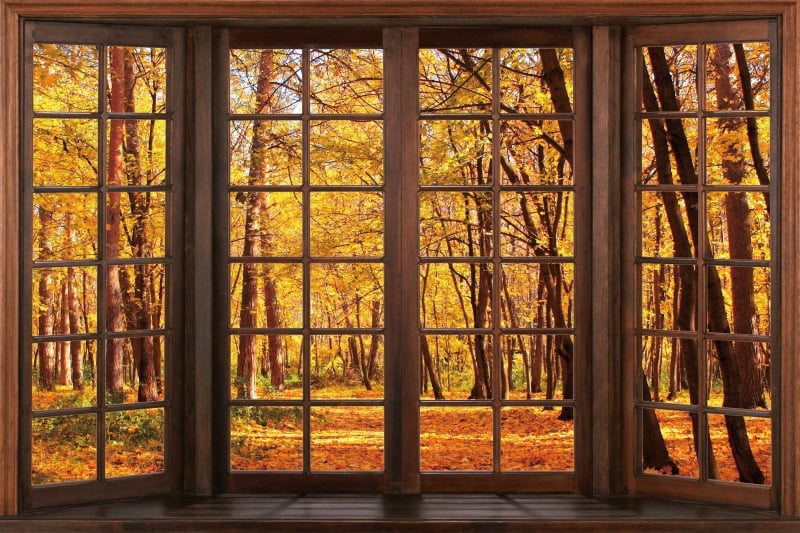 Fall Window Scenery Nature Forest Backdrop Golden Defoliation Harvest ...