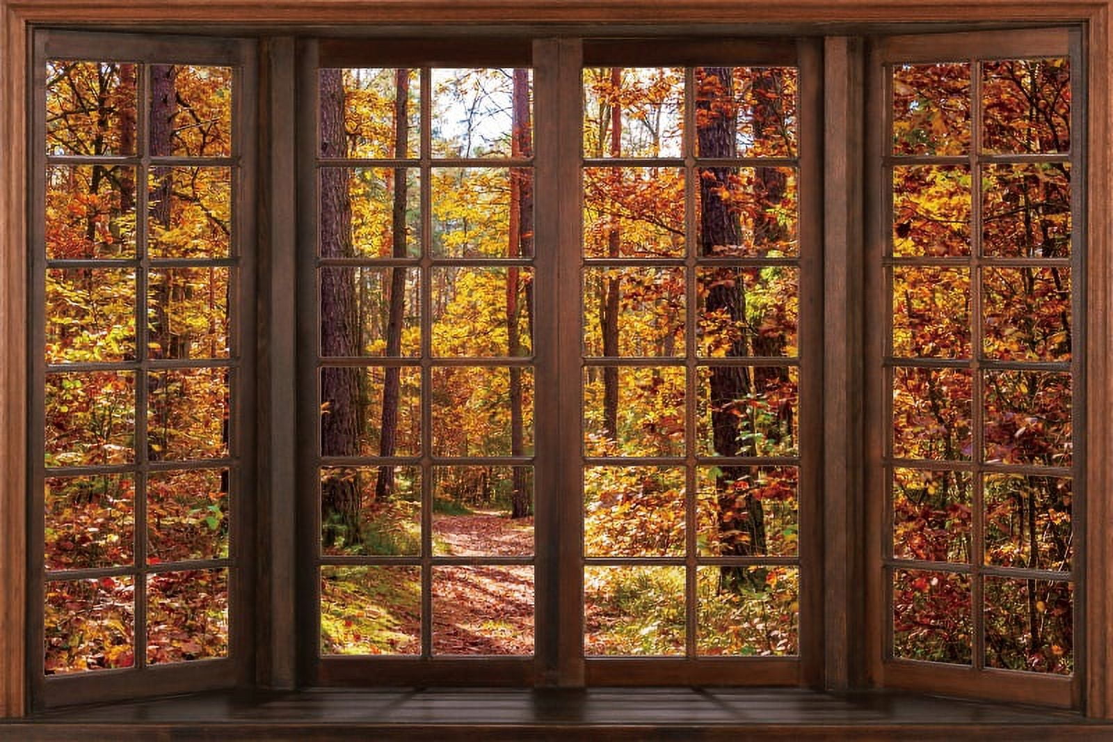 Fall Window Scenery Nature Forest Backdrop Golden Defoliation Harvest ...