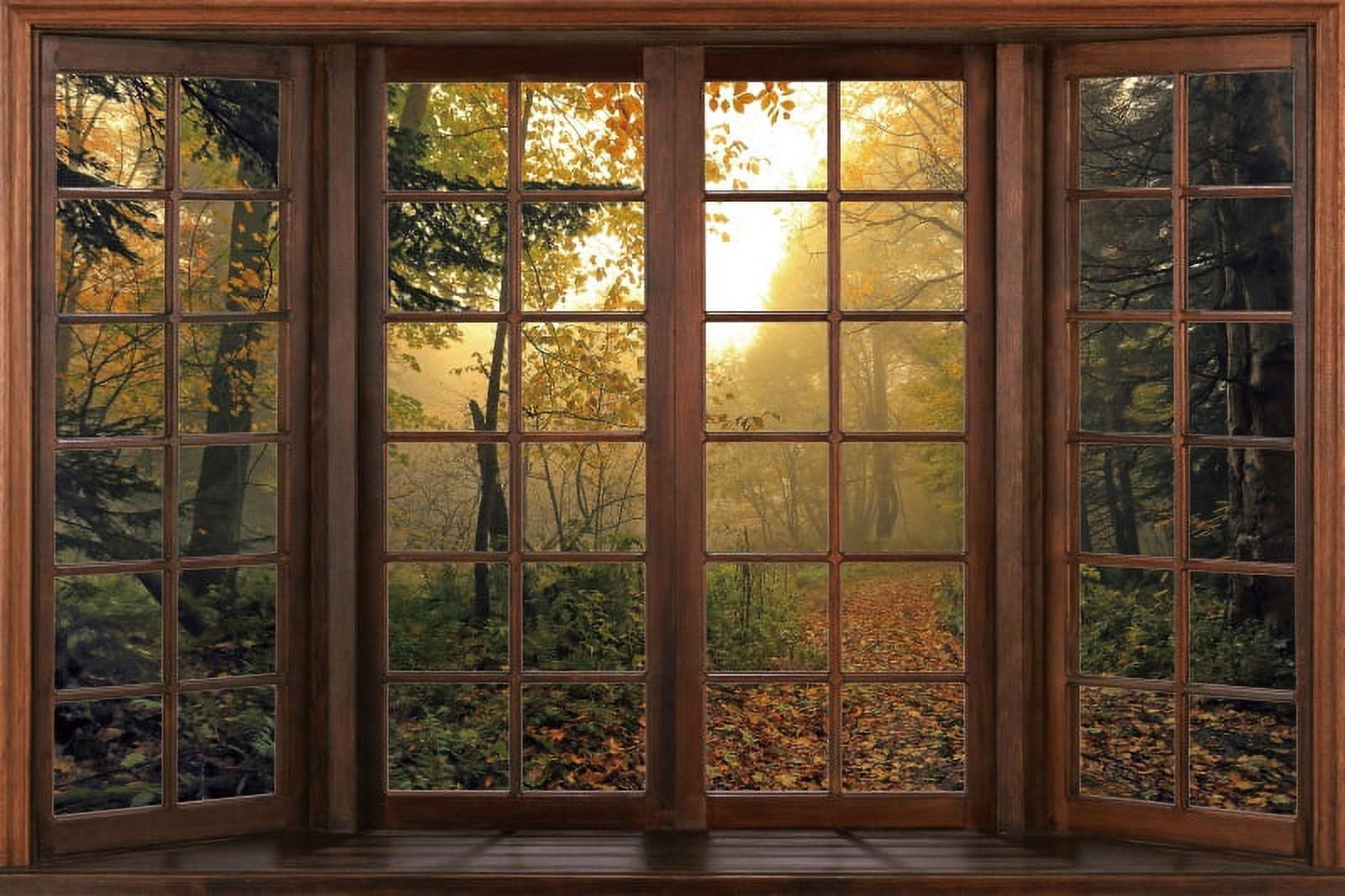 Fall Window Scenery Nature Forest Backdrop Golden Defoliation Harvest ...