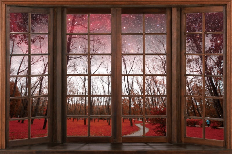 Fall Window Scenery Nature Forest Backdrop Golden Defoliation Harvest ...