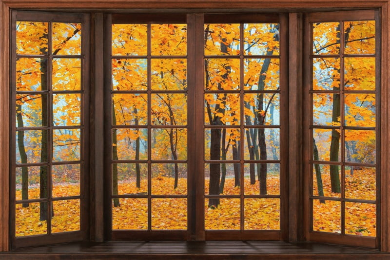 Fall Window Scenery Nature Forest Backdrop Golden Defoliation Harvest ...