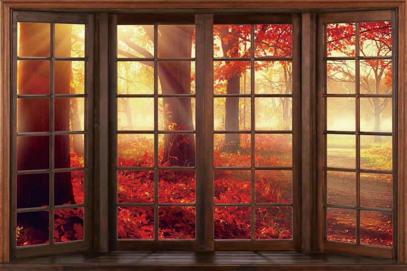 Fall Window Scenery Nature Forest Backdrop Golden Defoliation Harvest ...
