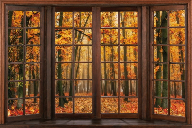 Fall Window Scenery Nature Forest Backdrop Golden Defoliation Harvest ...