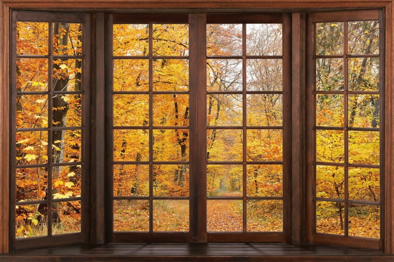 Fall Window Scenery Nature Forest Backdrop Golden Defoliation Harvest ...