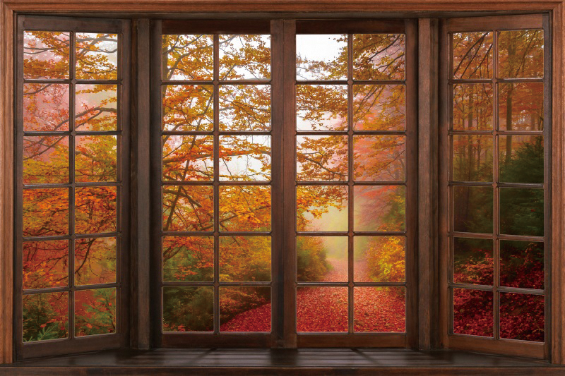 Fall Window Scenery Nature Forest Backdrop Golden Defoliation Harvest ...