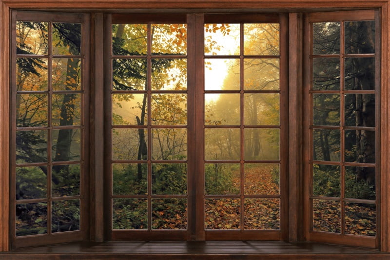 Fall Window Scenery Nature Forest Backdrop Golden Defoliation Harvest ...