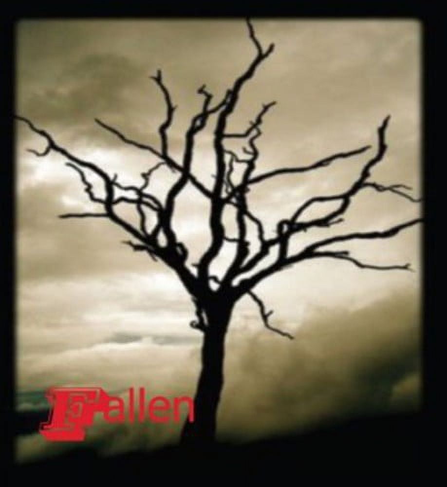 Fallen (CD) - Walmart.com