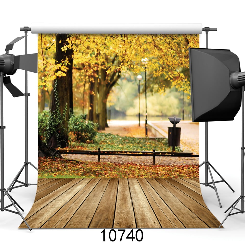 Fallen Leaves Photography Backdrops Wooden Floor Big Tree Street ...