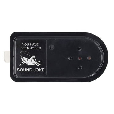 Funny Hidden Beeper Office Prank Device, Adult's Noise Maker Toy ...