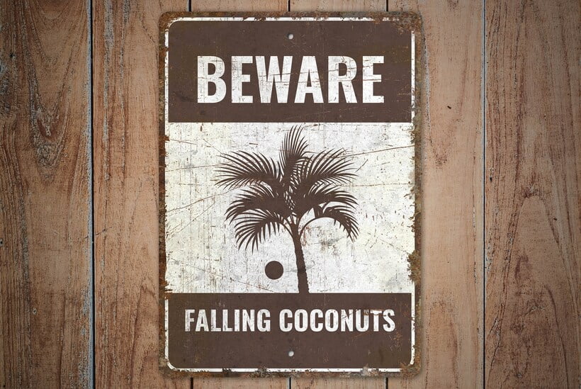 Falling Coconut Sign Falling Coconut Beware Sign Warning Sign Beach ...