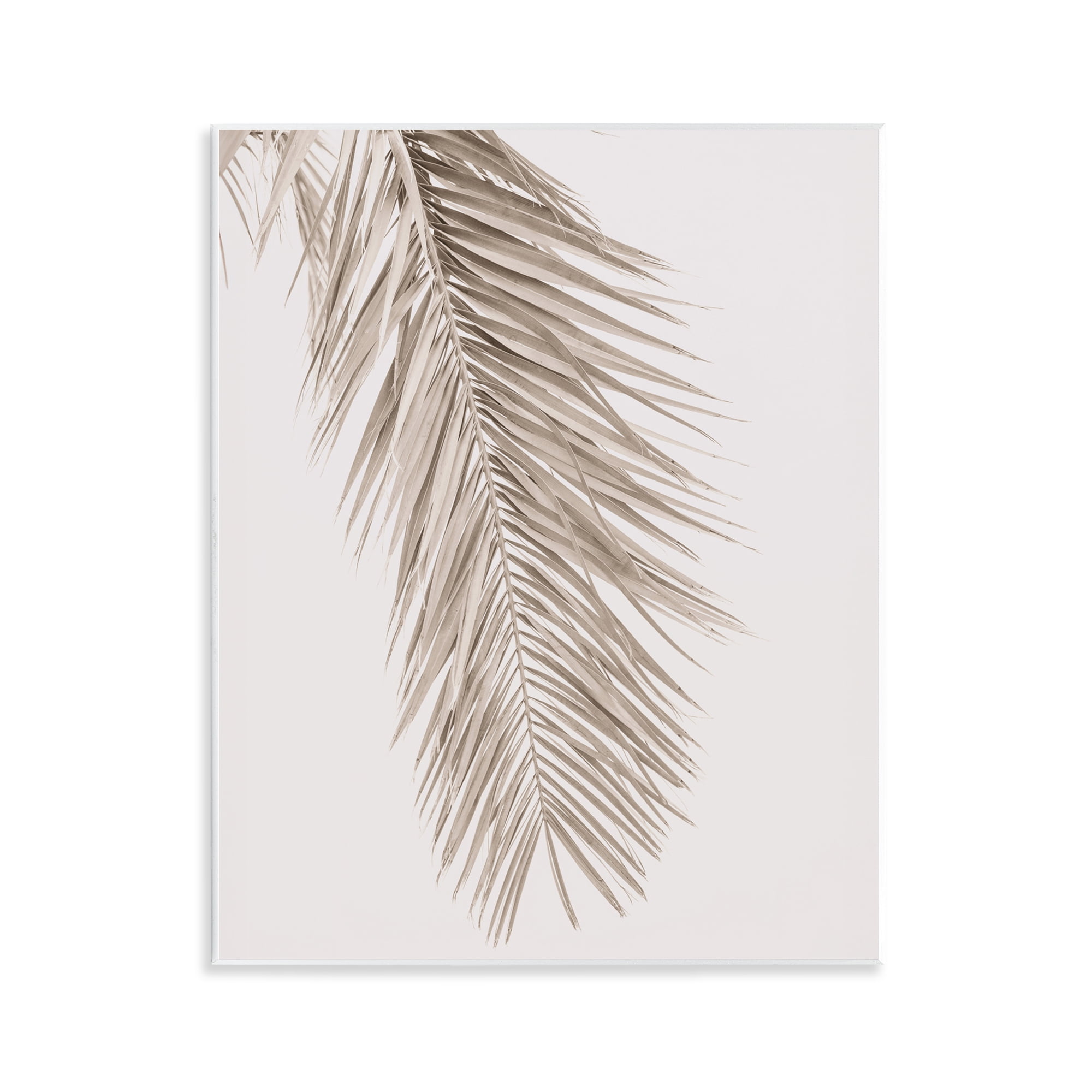 Stupell Industries Falling Neutral Brown Palm Wall Plaque Art, design ...