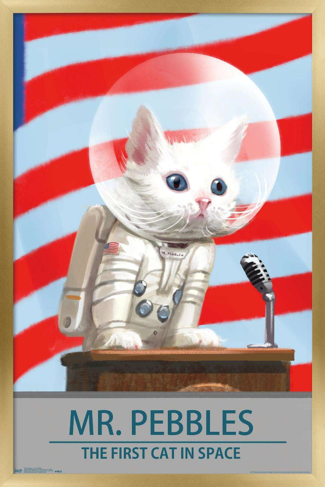 Fallout 4 - Mr. Pebbles - The First Cat In Space Wall Poster, 22.375" x ...