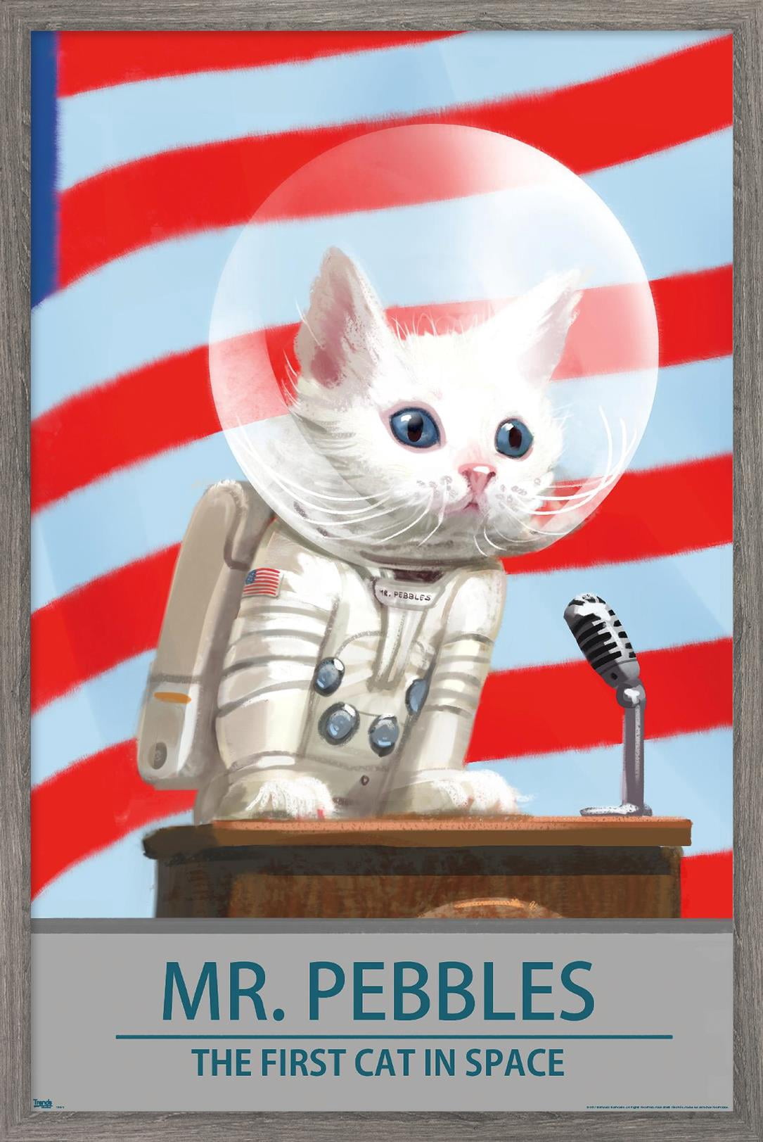 Fallout 4 - Mr. Pebbles - The First Cat In Space Wall Poster, 22.375" x ...