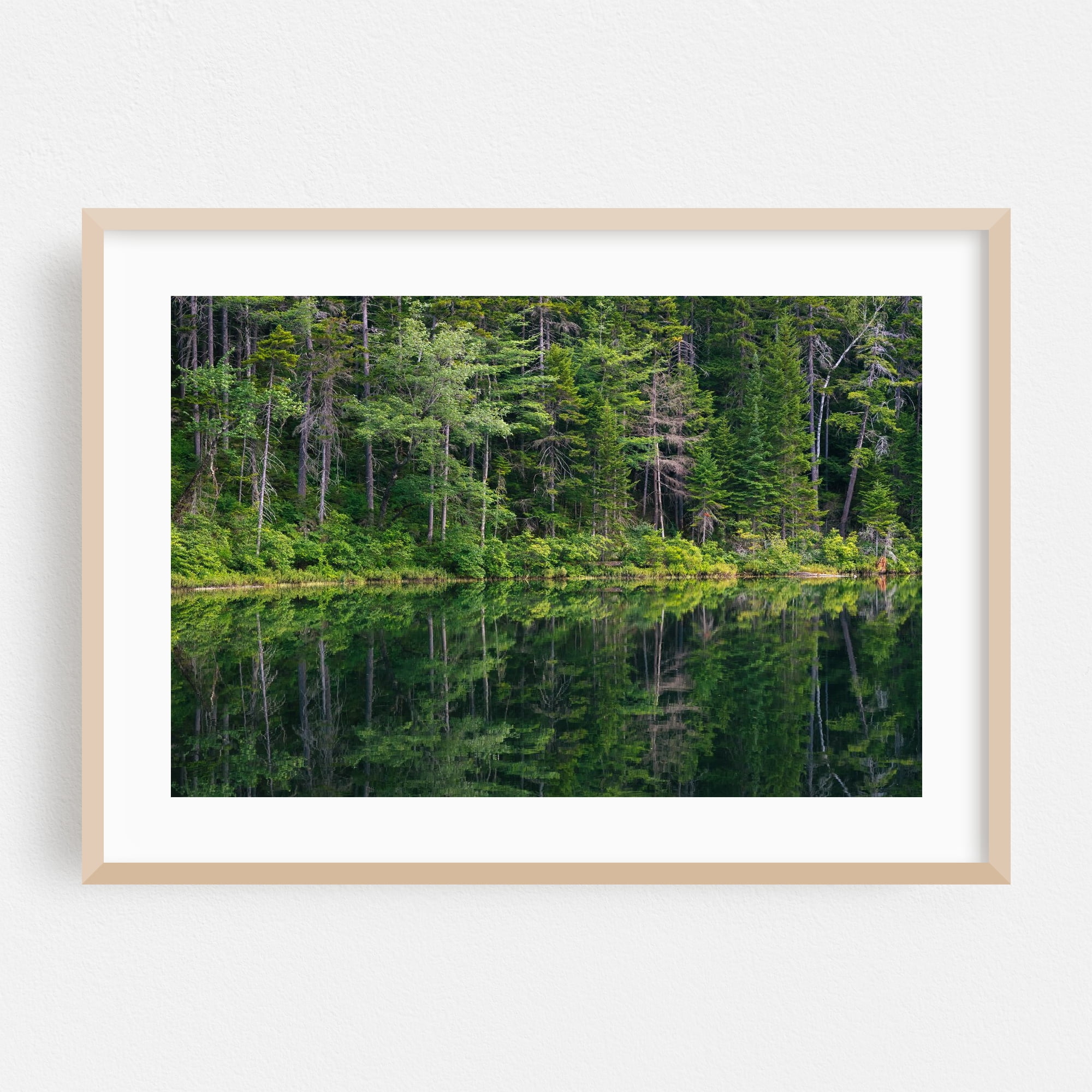 Falls Pond at Rocky Gorge - New Hampshire Photography Oak Framed Wall ...