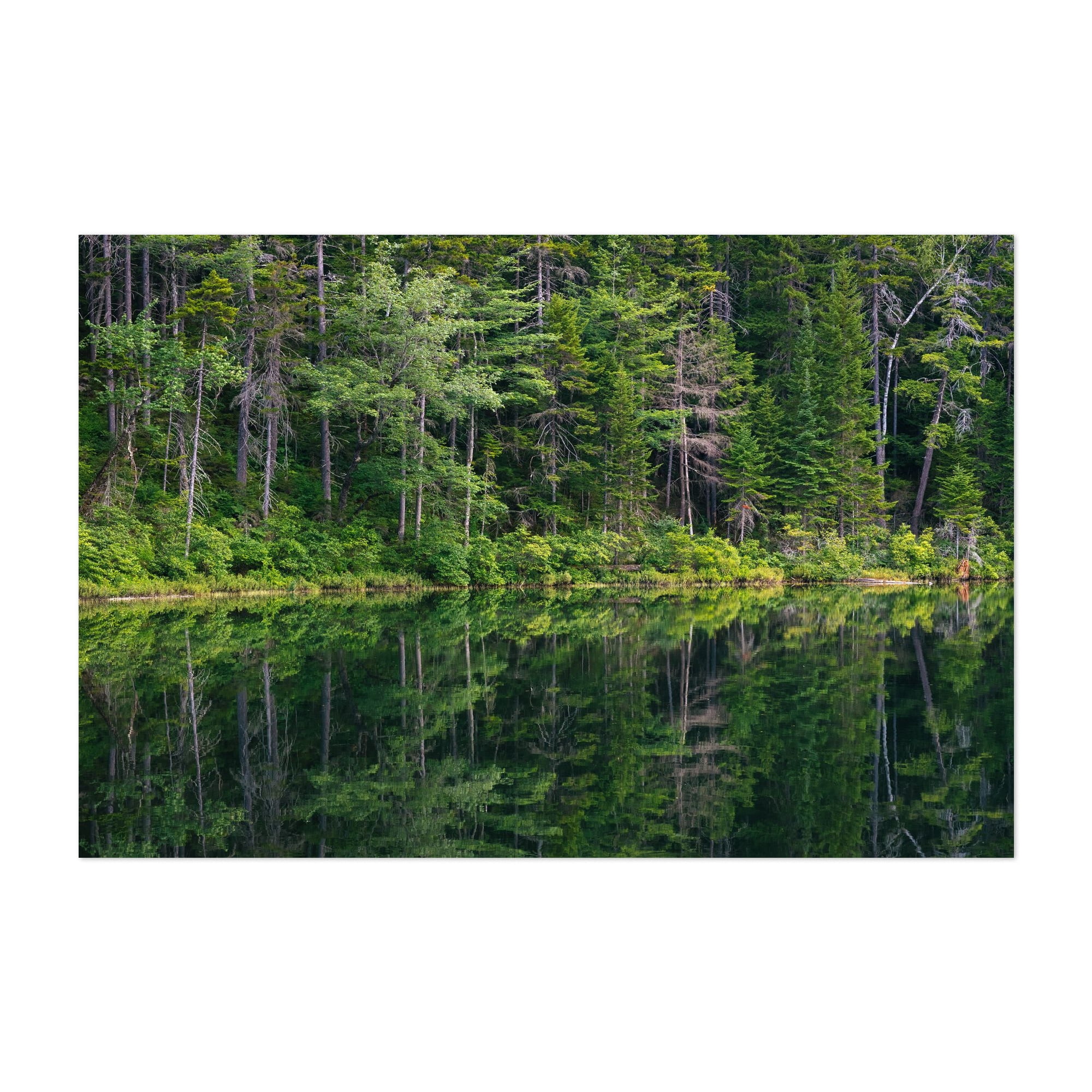 Falls Pond at Rocky Gorge - New Hampshire Photography Unframed Wall Art ...