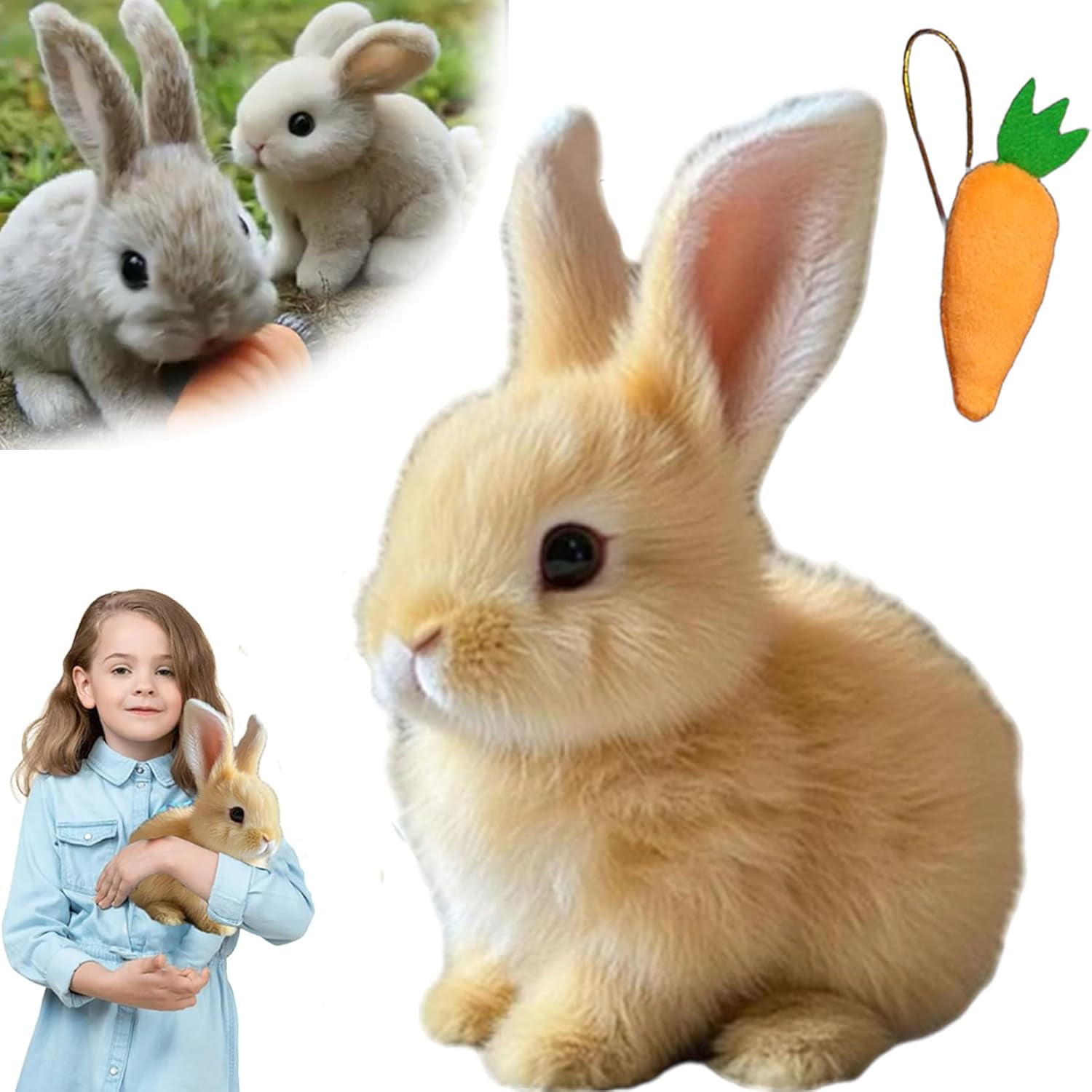 Family Bunny Pal, Fanyil Tm Bunny Pal, Olygee Bunny, Bunnypal, Bunny ...