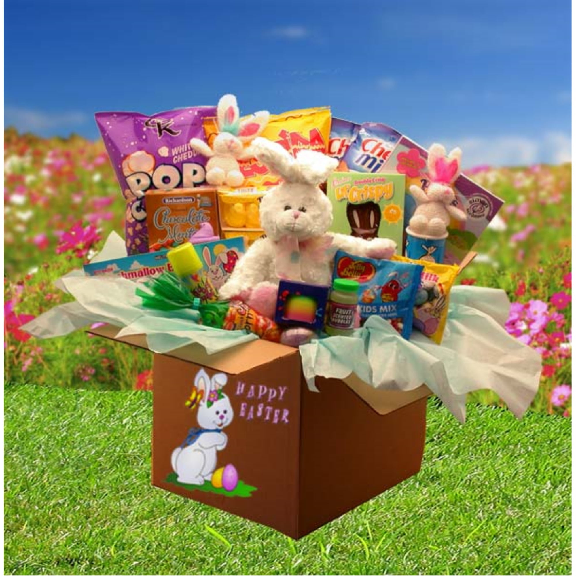 Family Fun Easter Care Package - Walmart.com