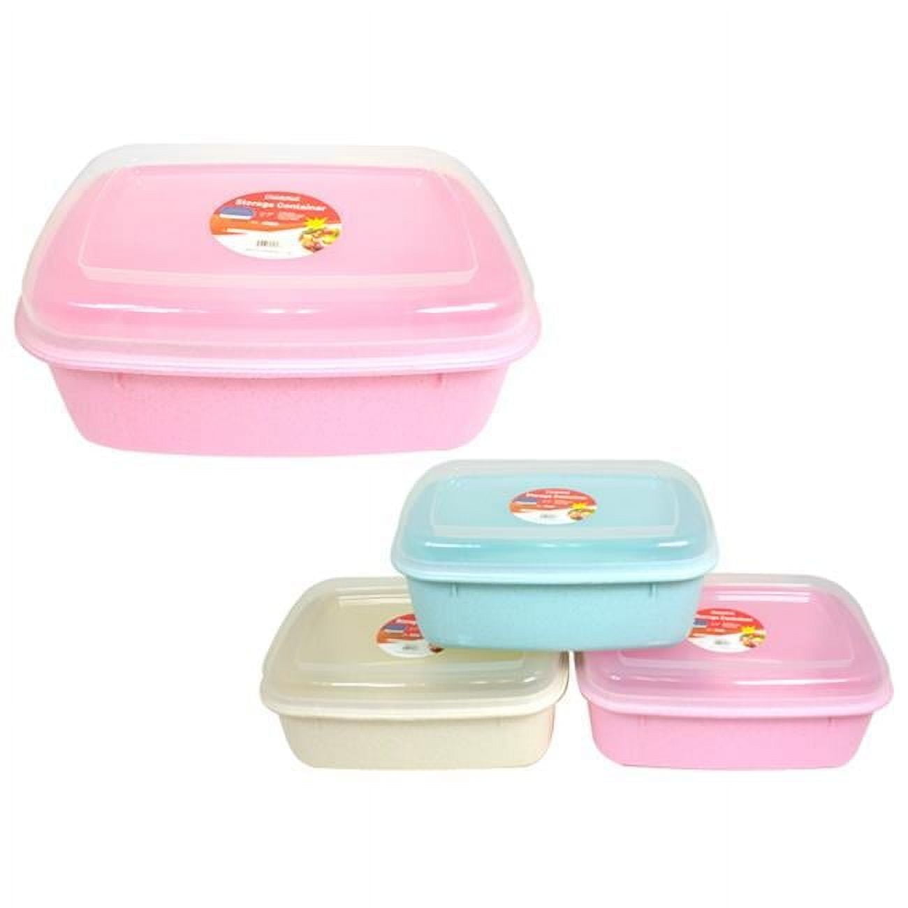 Family Maid 15827D Rectangle Food Container, Assorted Color - Large ...