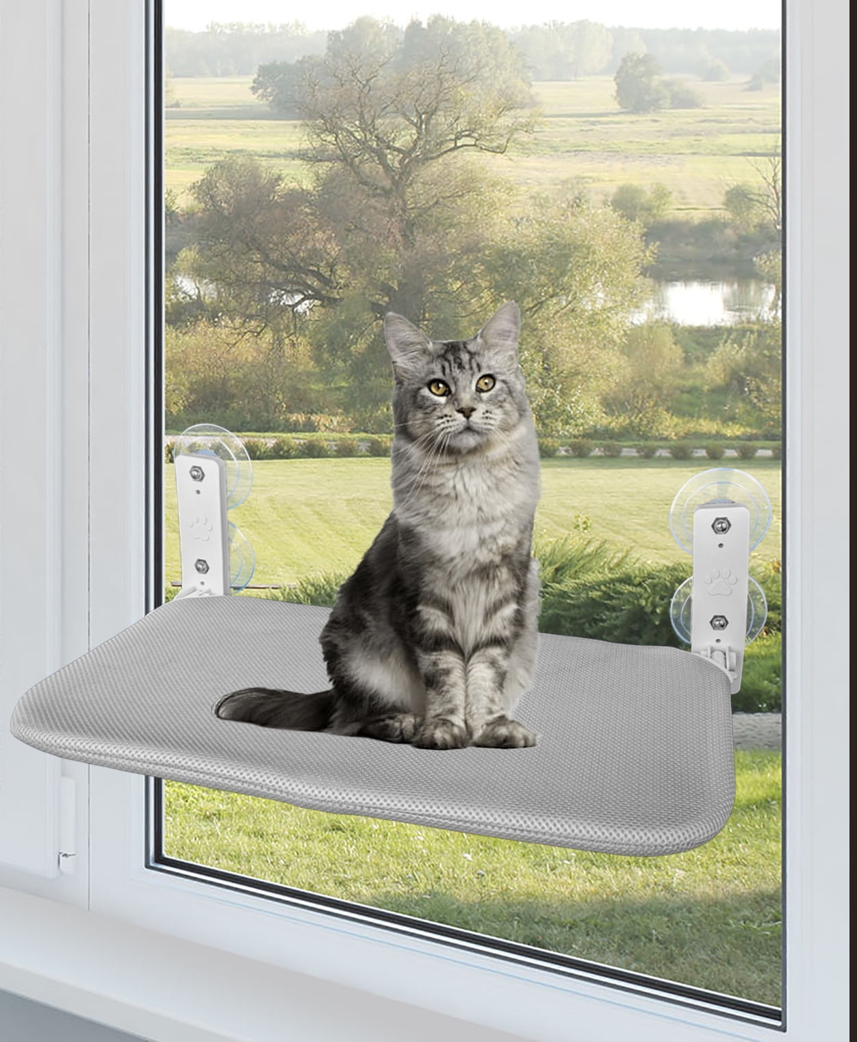 Family Safe Cordless Portable Foldable Cat Window Perch Hammock with ...