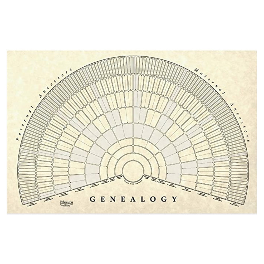 Family Tree Chart Genealogy Tree Painting Mural Family Tree DIY ...