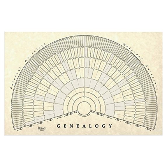 Family Tree Chart Genealogy Tree Painting Mural Family Tree DIY ...