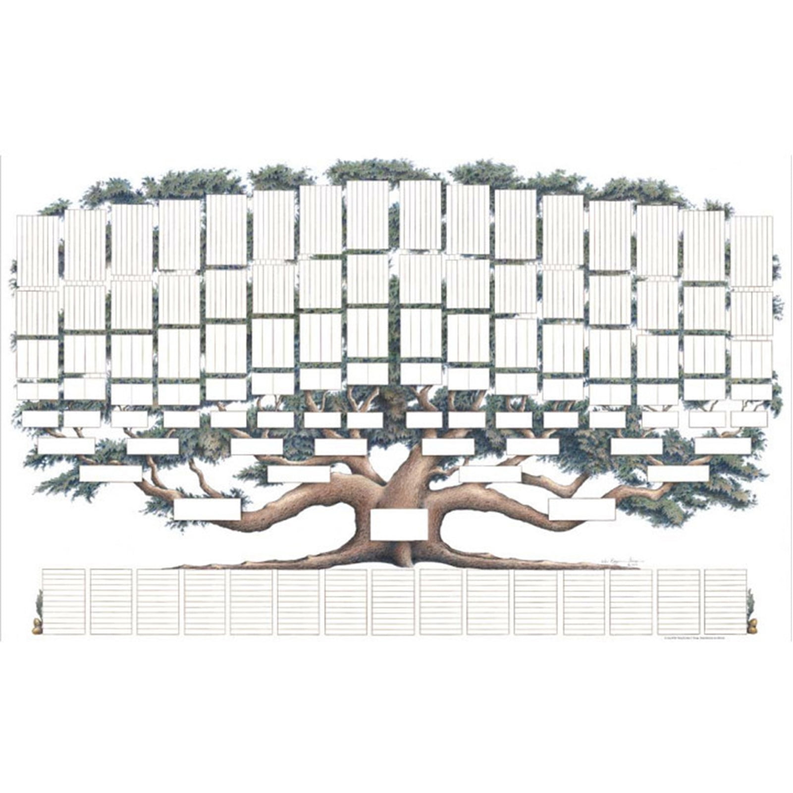 Family Tree Diagram Empty Poster Unique Gift for All Occasions Canvas ...