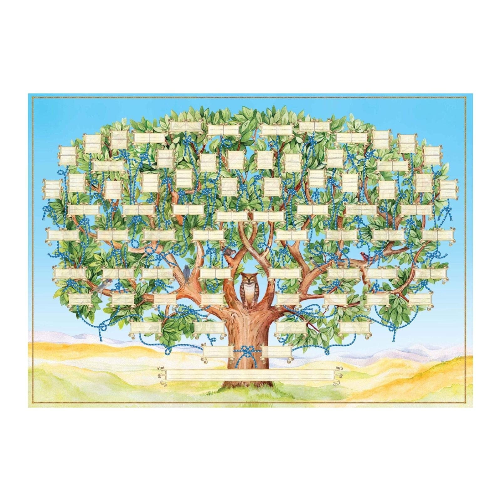 Family Tree To Fill In 6 Generation Genealogy Poster Blank Fillable ...