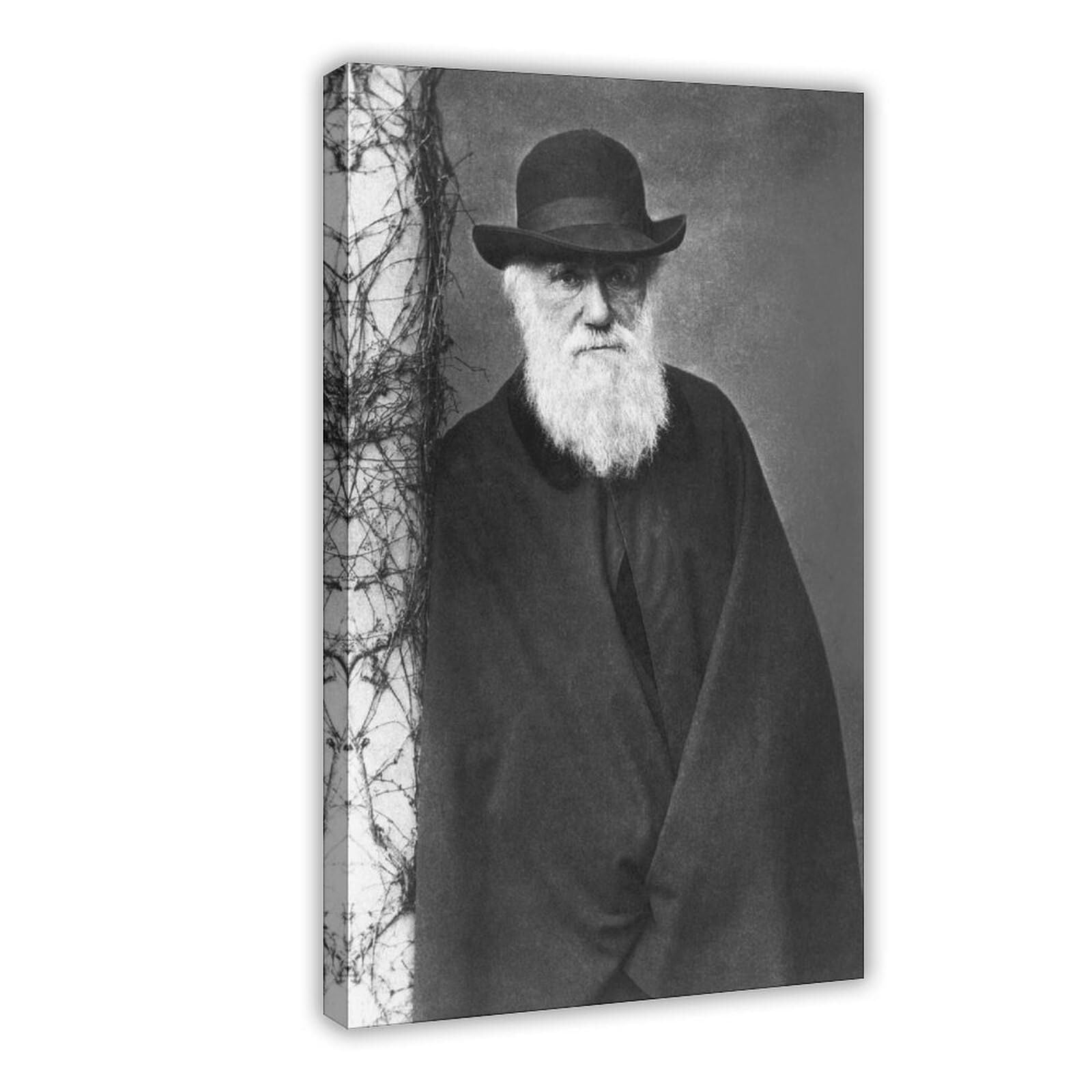 Famous Biologist Charles Darwin, Retro Art Posters for House Aesthetic ...