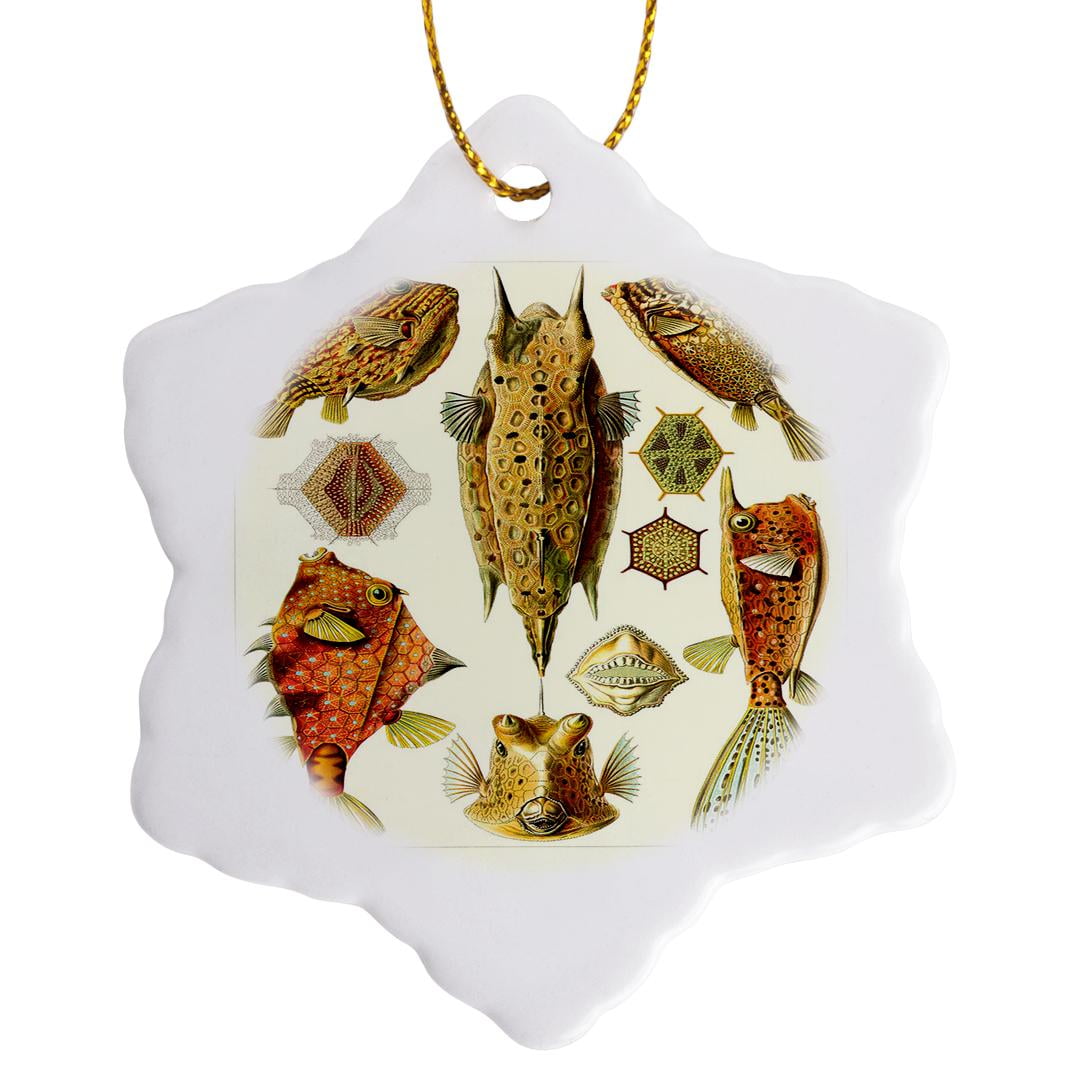 3drose, Famous Biologist Sketch of Anatomy of a Fish 1800s, 3 inch ...