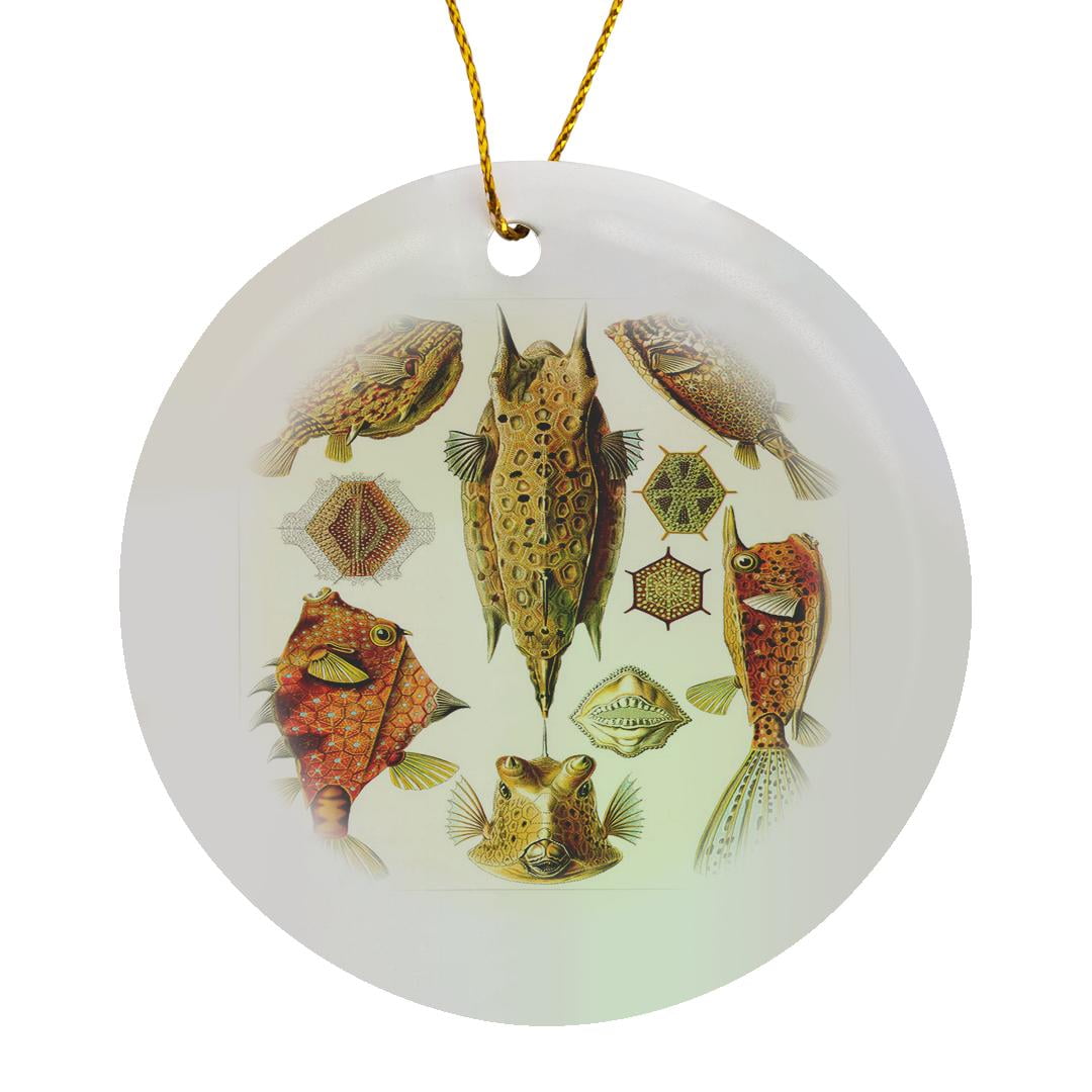 3drose, Famous Biologist Sketch of Anatomy of a Fish 1800s, Circle ...
