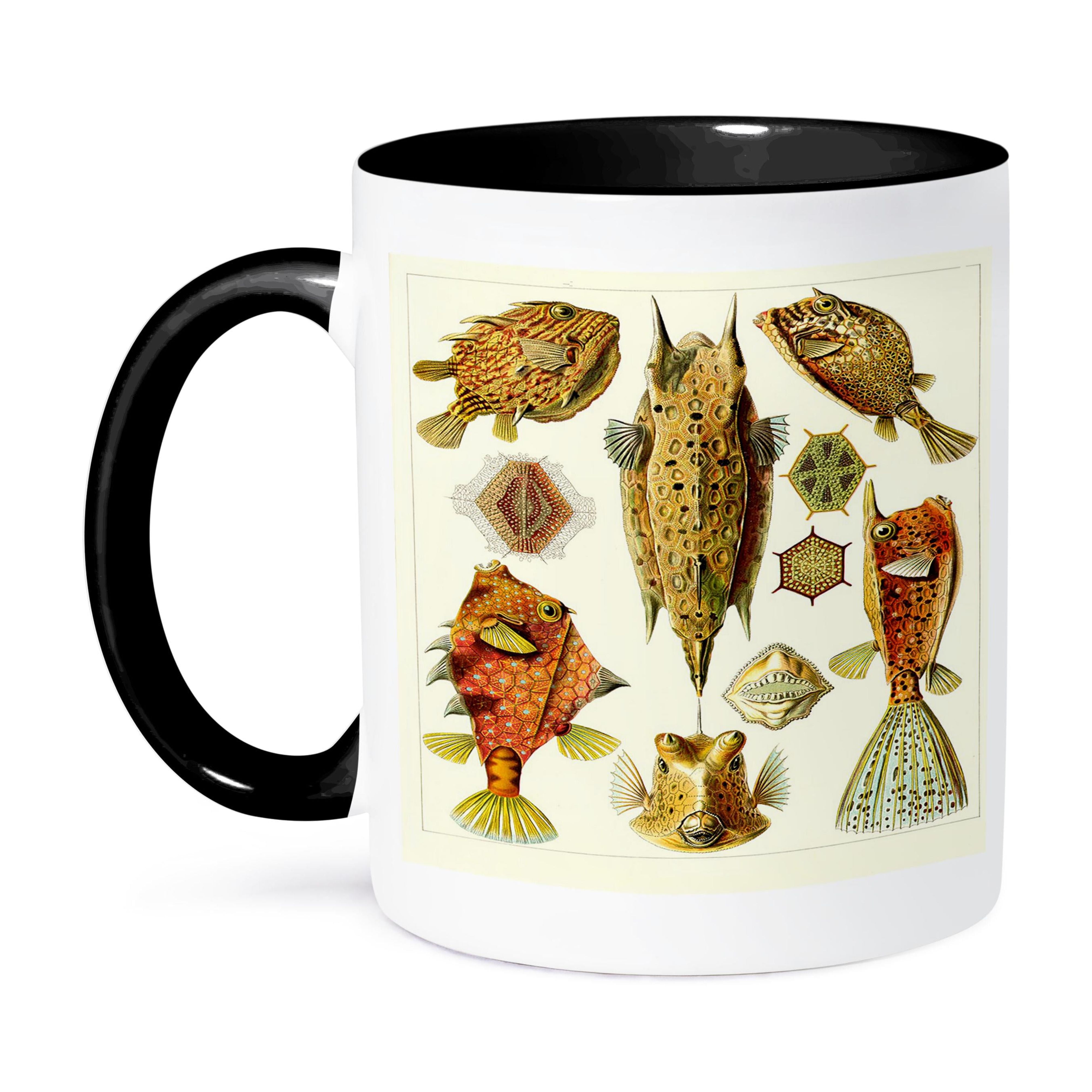 3dRose, Famous Biologist Sketch of Anatomy Of A Fish 1800s, 11oz Two ...