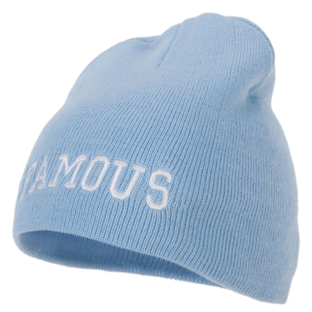 Famous Embroidered Design 8 Inch Knitted Short Beanie - Sky Blue OSFM ...