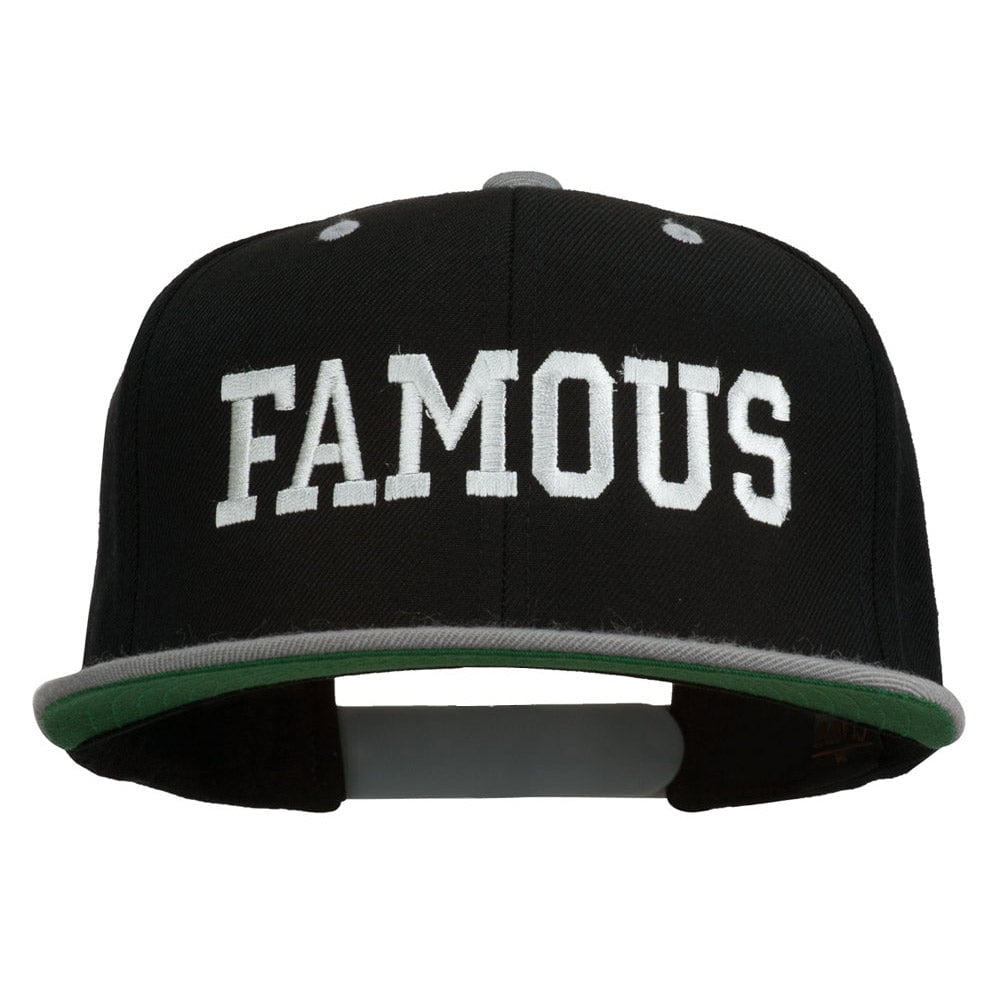 Famous Embroidered Two Tone Snapback Cap - Black Silver OSFM - Walmart.com