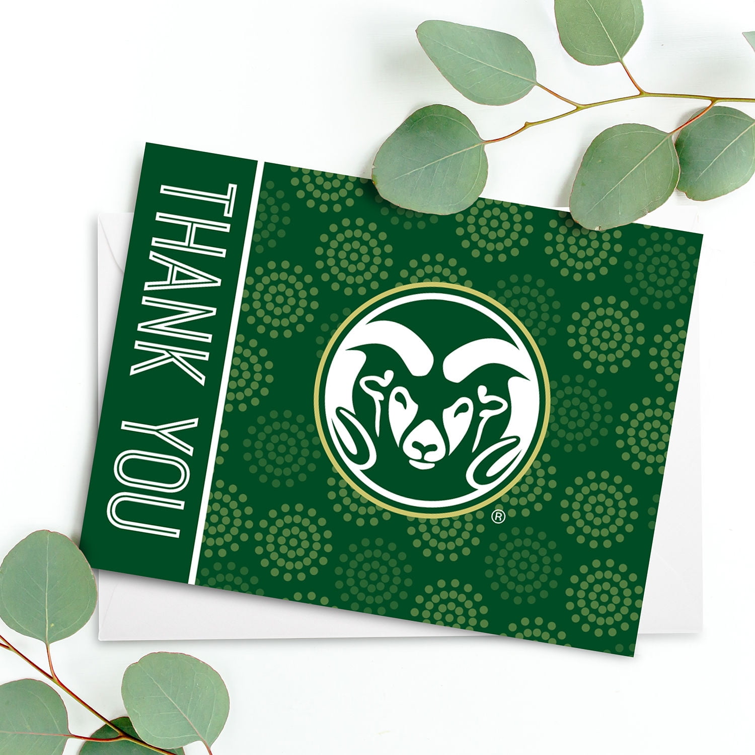 Fan Frenzy Gifts Colorado State Rams Officially Licensed Green Inline ...