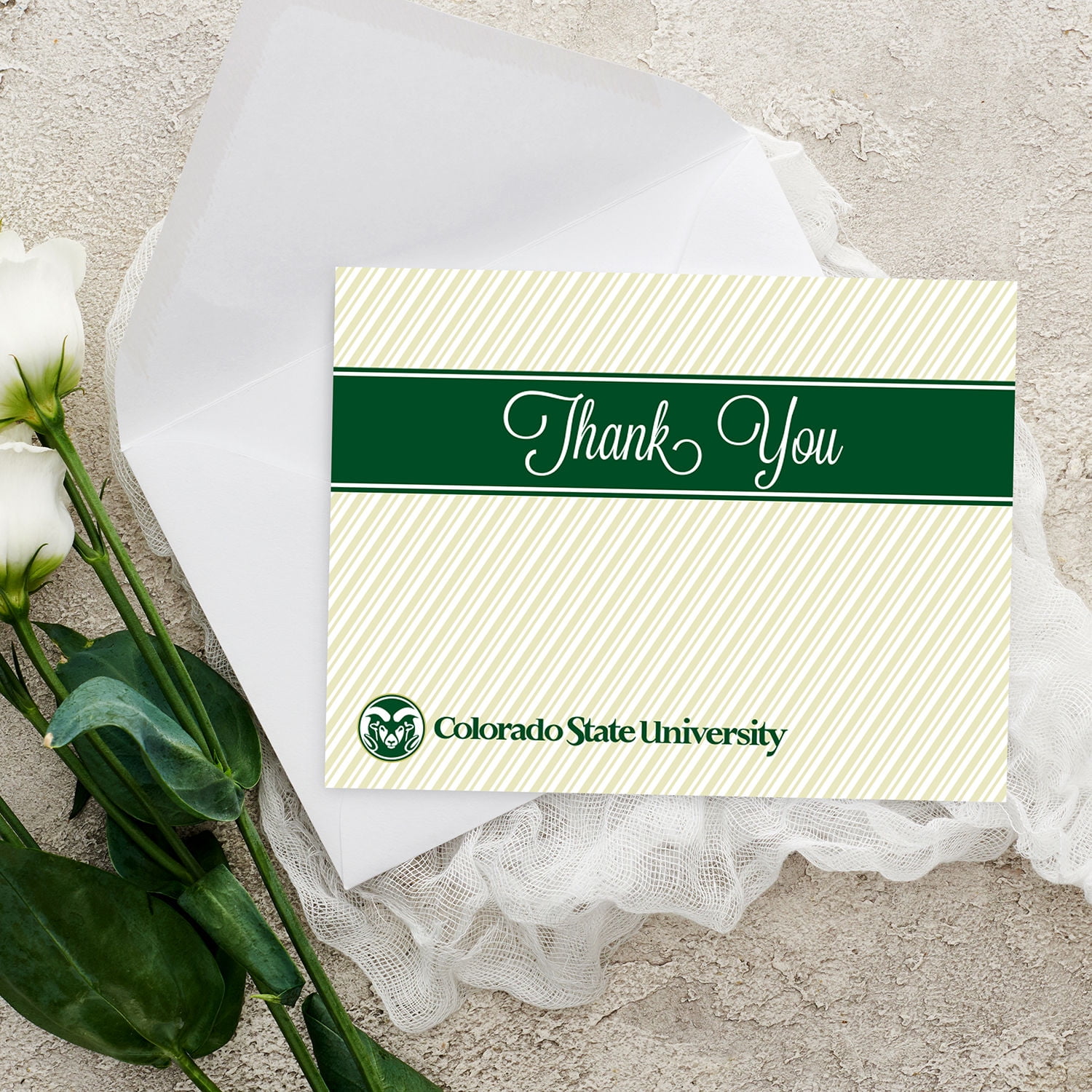 Fan Frenzy Gifts Colorado State Rams Officially Licensed Green Script ...